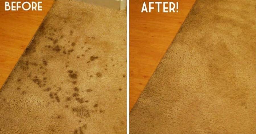 Perfect DIY Carpet Cleaning Method + Recipe